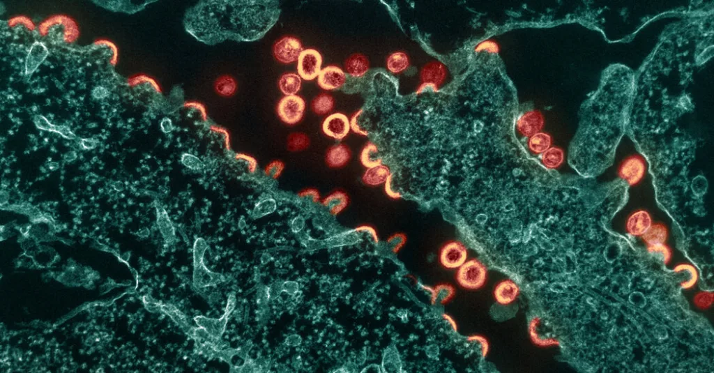 CDC’s Virus Tracking Raises Privacy Concerns: HIV Groups Warn
